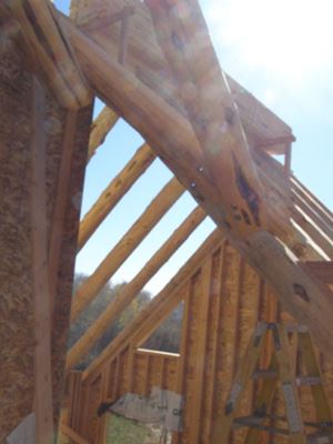 Structural Insulated Panels for a Hybrid Log Home Roof