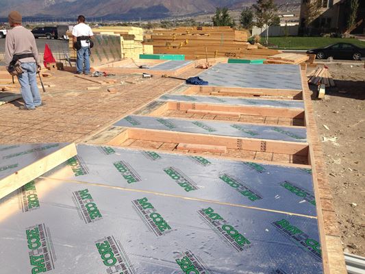 RAY-CORE SIPs ® Were Fast and Easy and Builder's Loved Them!